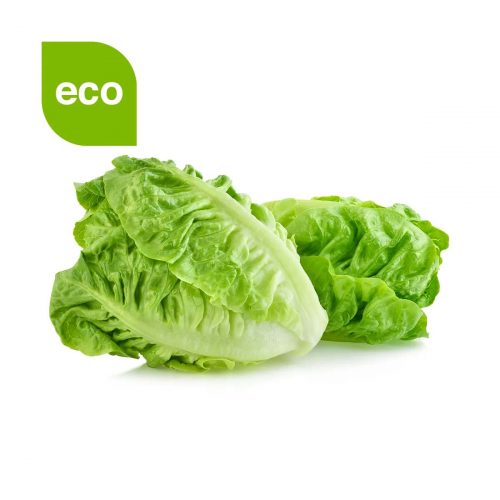 Lechuga Little Gem ecológica | Verdimed